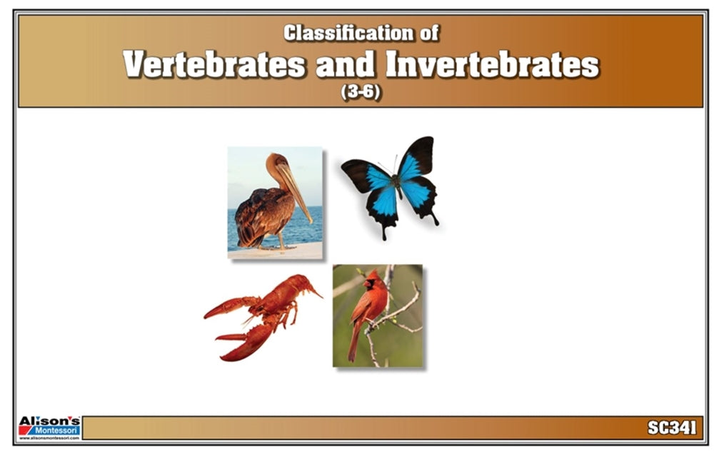 Classification of Vertebrates & Invertebrates Nomenclature Cards (Prin ...